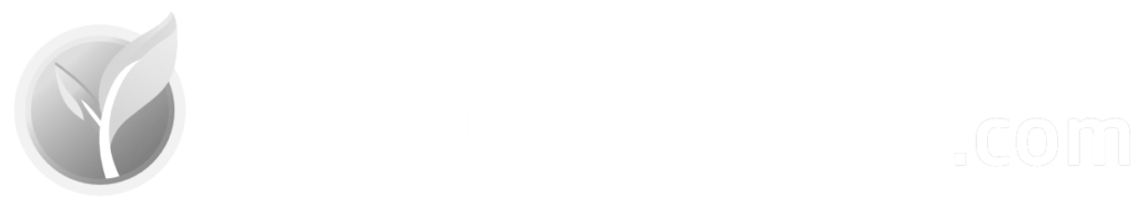 Codext GmbH - Deutschlands #1 Agentur für Shop-Migrationen